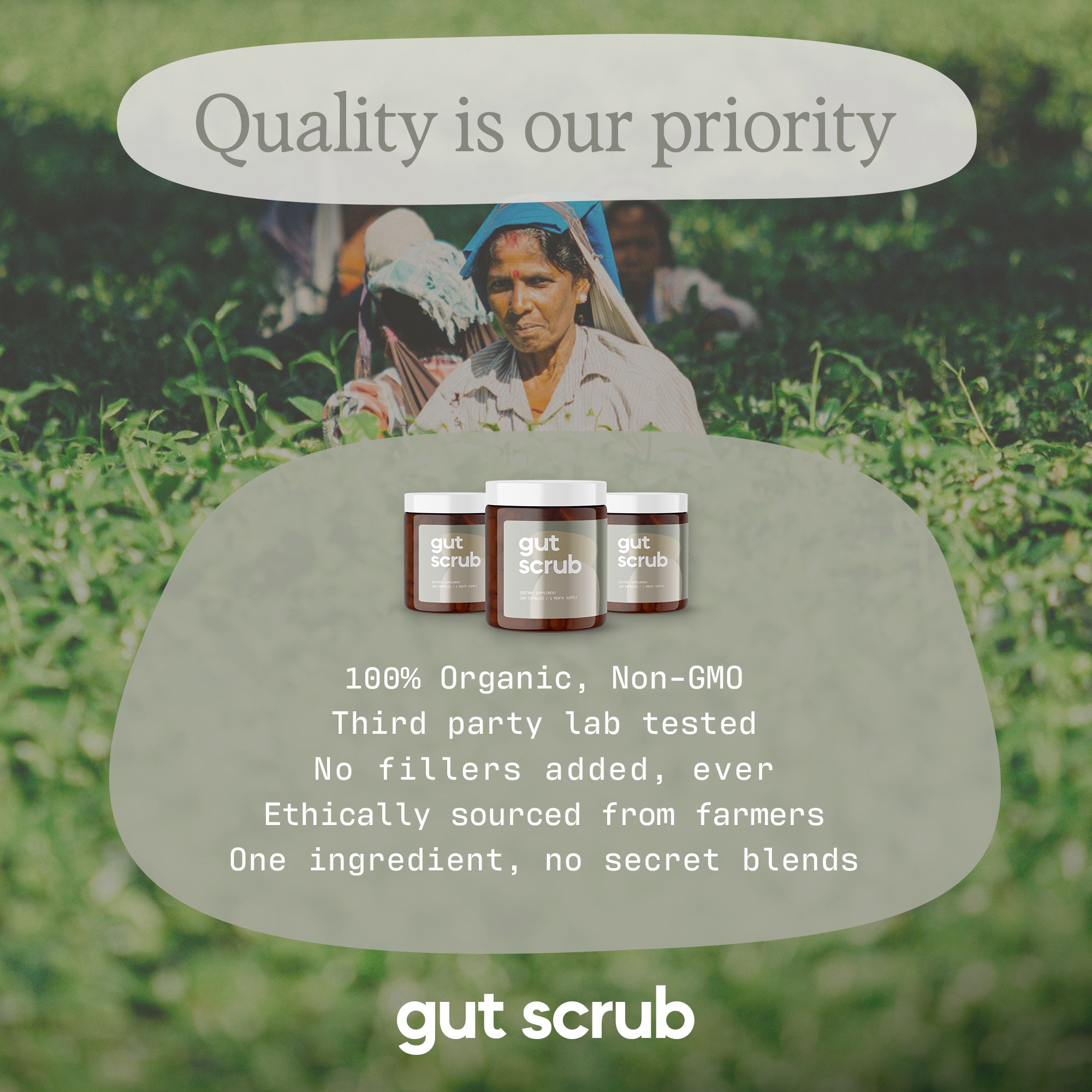 Gut Scrub | All Natural Gut Health Supplements
