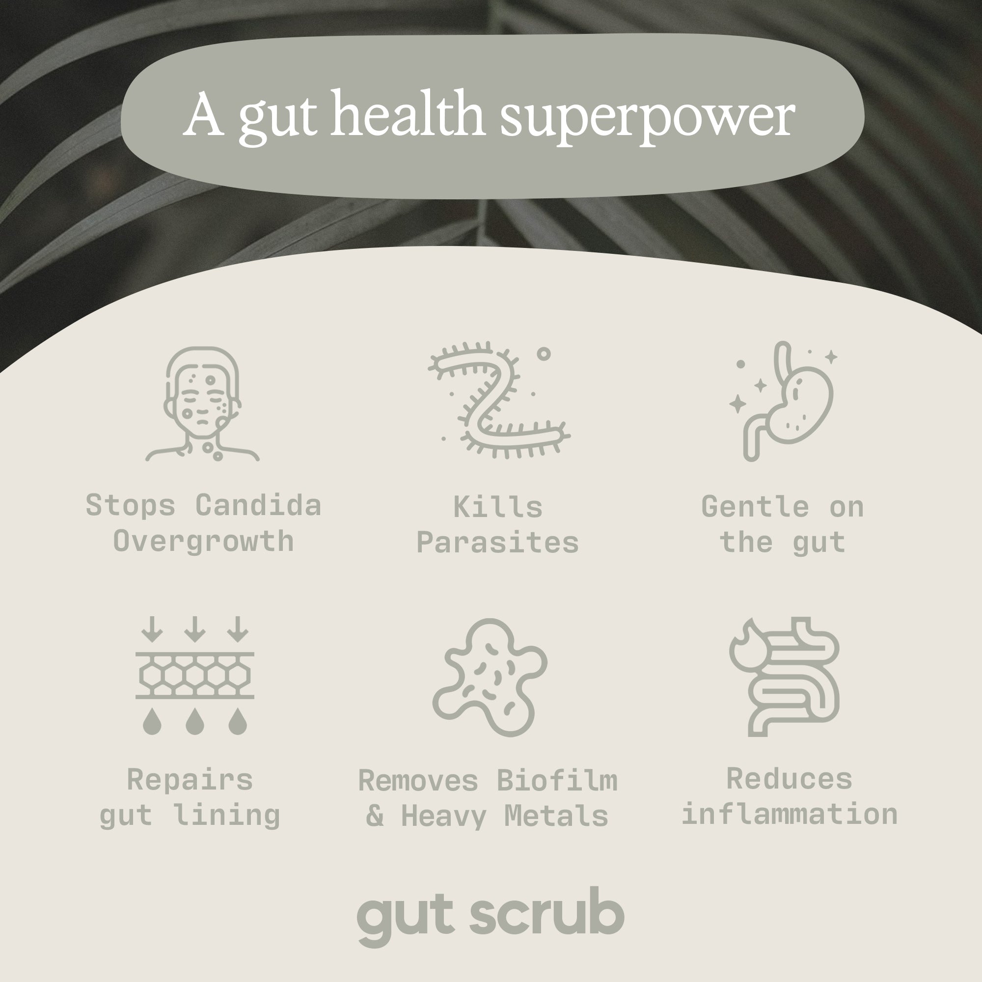 Gut Scrub | All Natural Gut Health Supplements