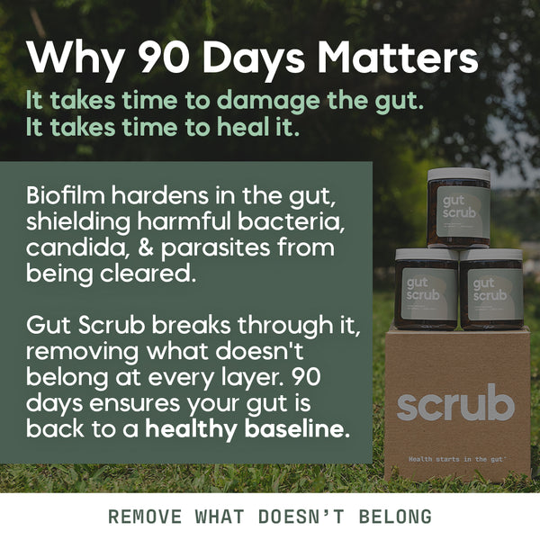 Gut Scrub | All Natural Gut Health Supplements