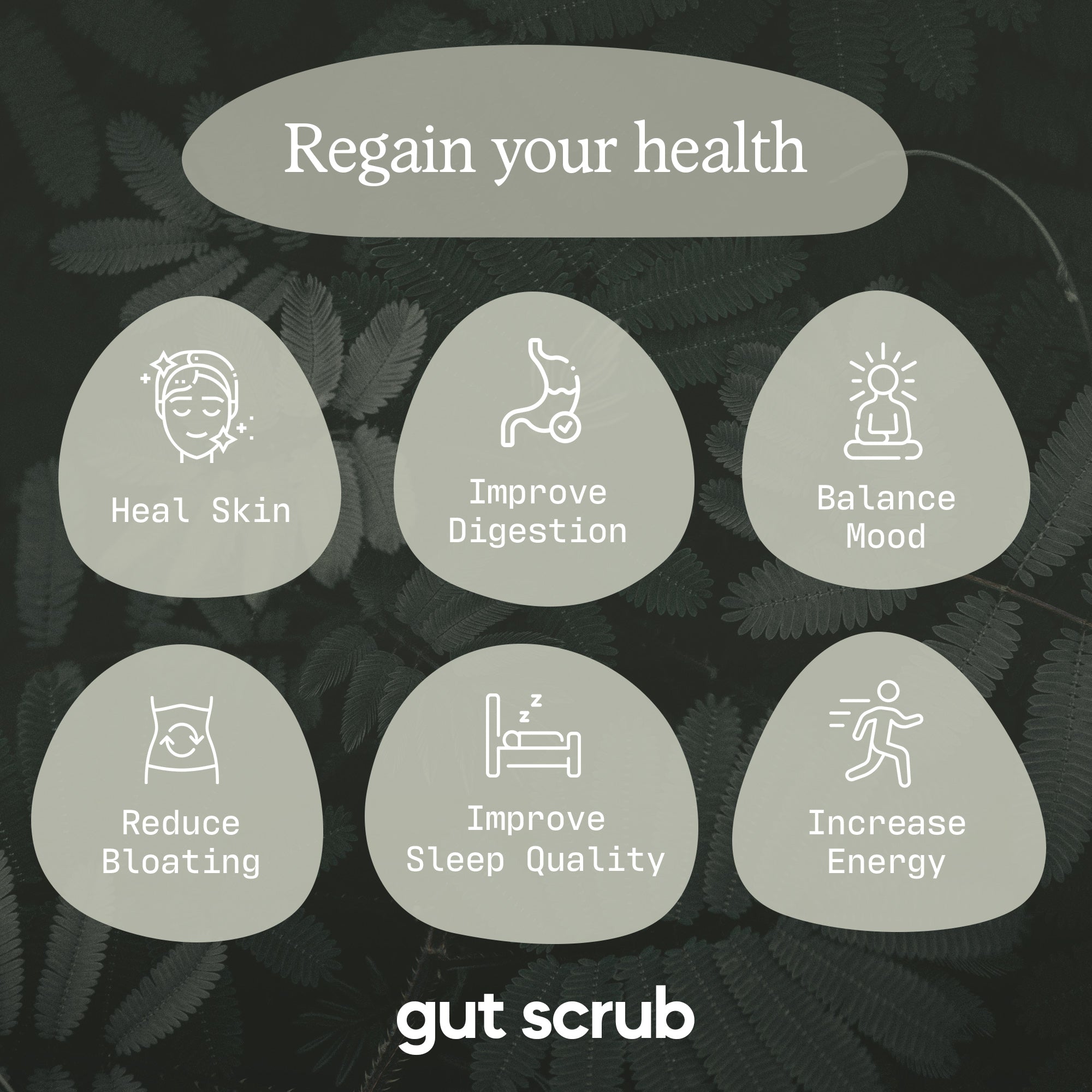 Gut Scrub | All Natural Gut Health Supplements